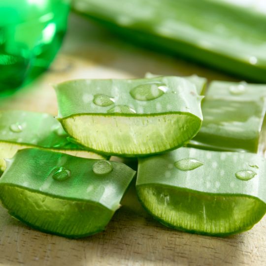 Best Aloe Vera Skincare Products in Pakistan – SACHET